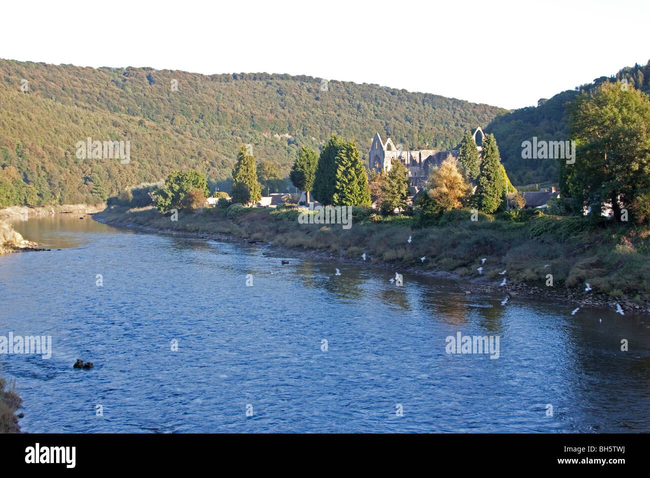Tintern Abbey in the Wye Valley near Chepstow, Monmouthshire Stock ...