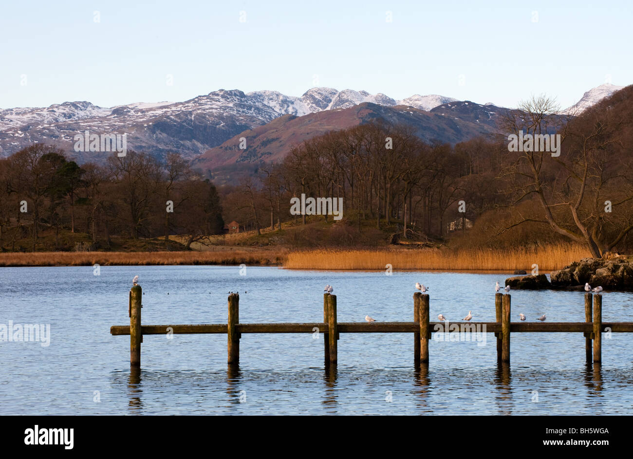 Derwent water aerial hi-res stock photography and images - Alamy