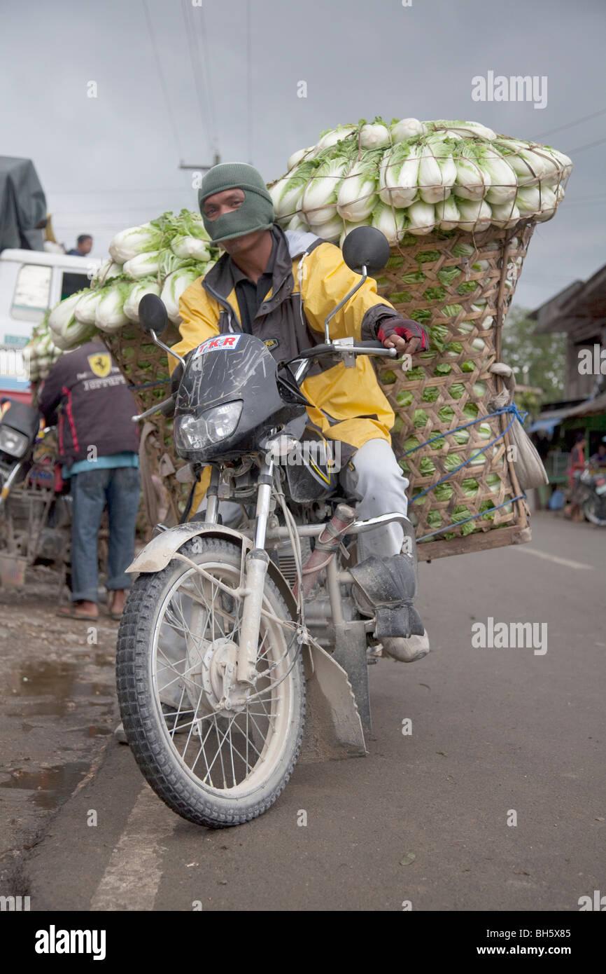 Filipino motorcyclist with heavy load of Pitsay vegetables Stock Photo ...