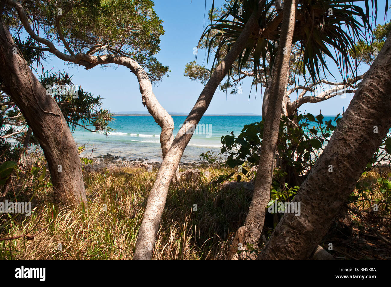 Noosa National Park, Noosa, Queensland Stock Photo - Alamy