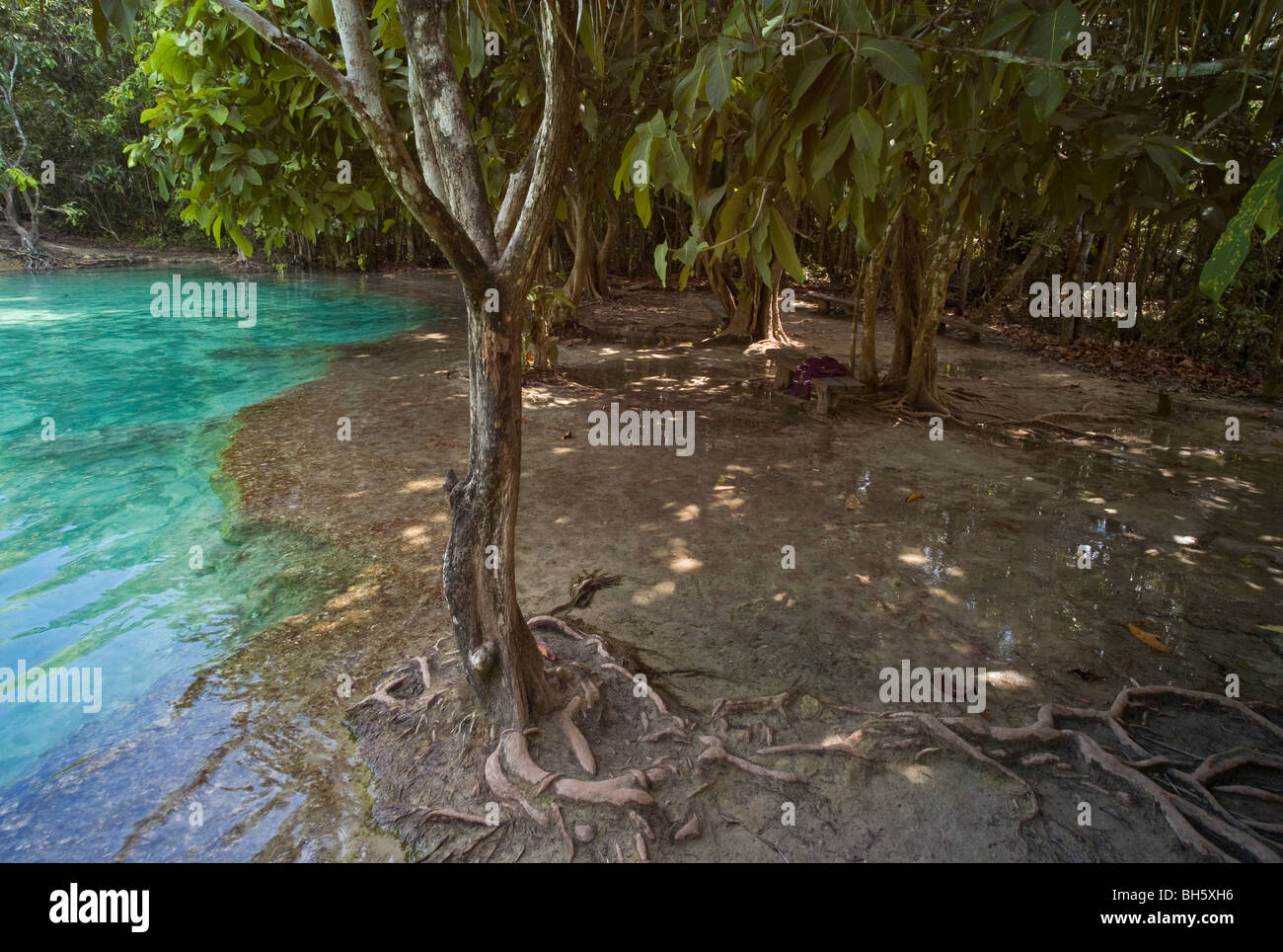 Morakot hi-res stock photography and images - Alamy