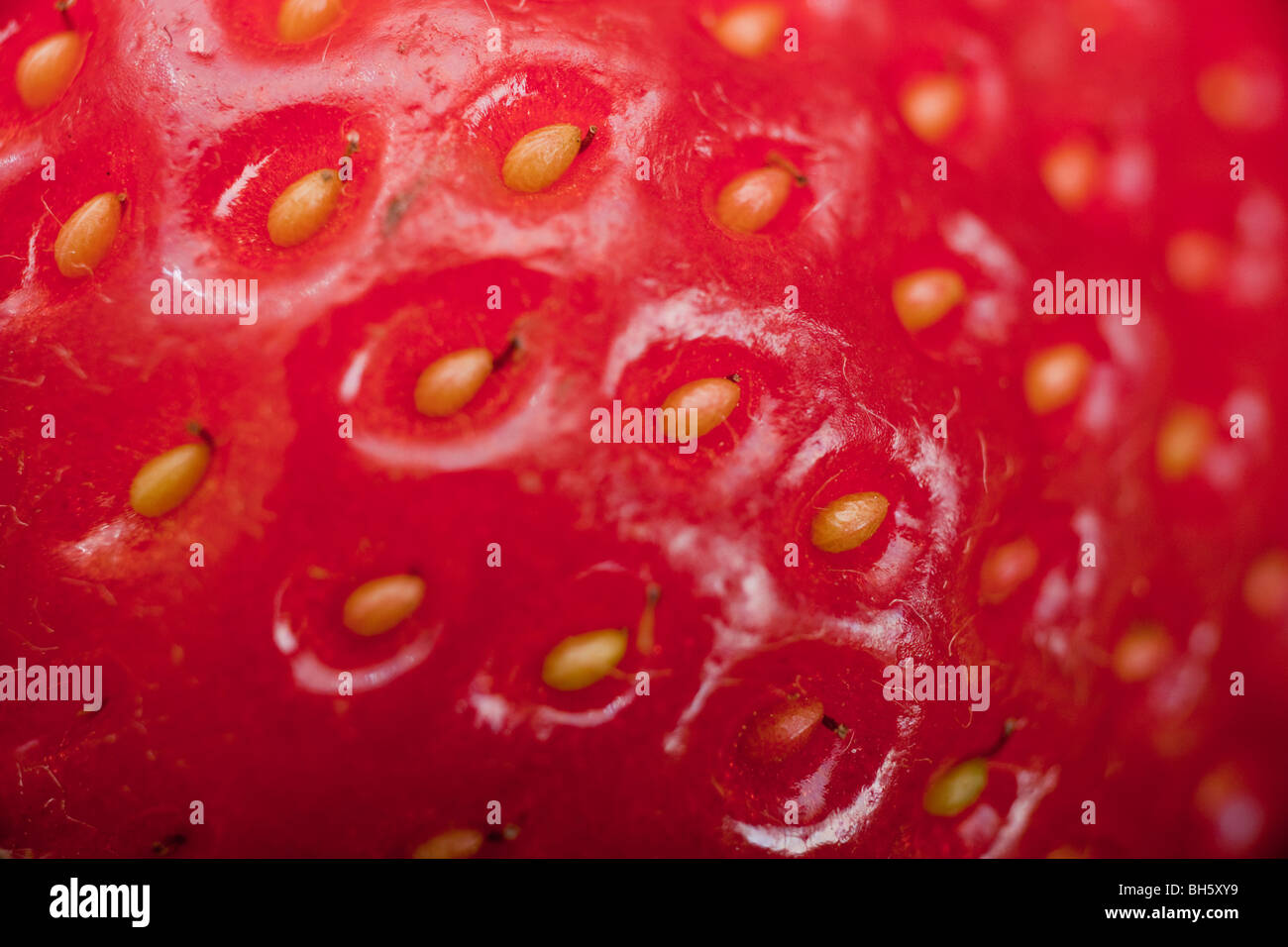 Extreme macro shot of a strawberry. Individual seeds can be seen Stock ...