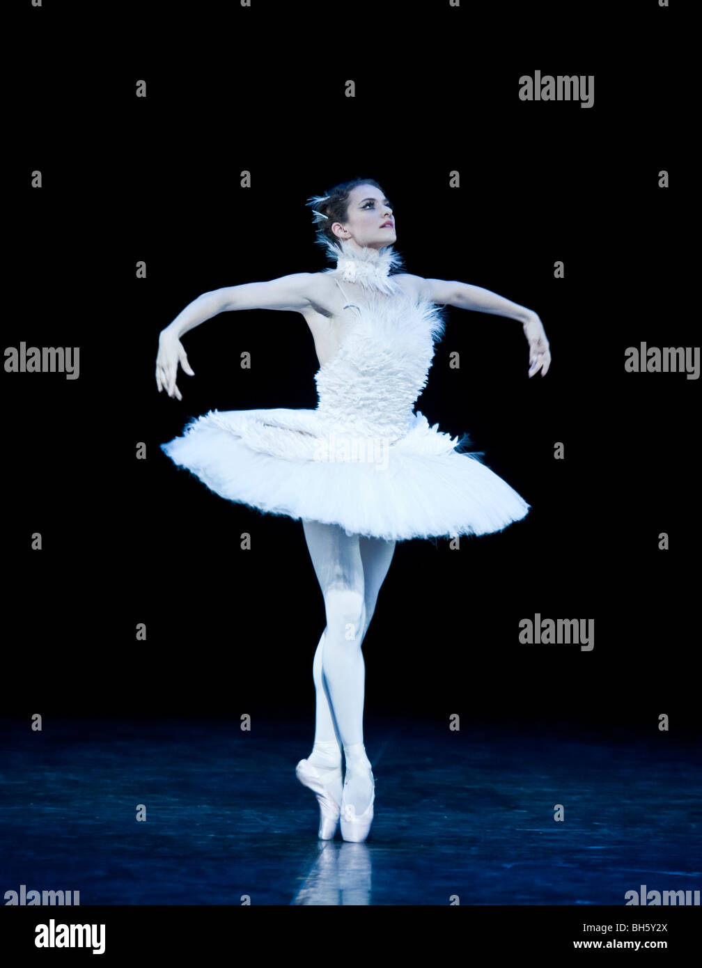 Dying swan hi-res stock photography and images - Alamy