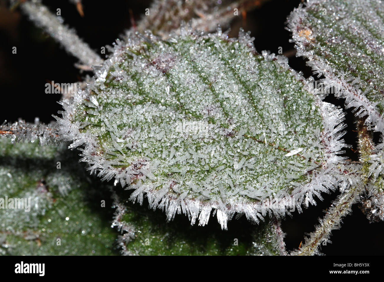 Freezing ice cold day hi-res stock photography and images - Alamy