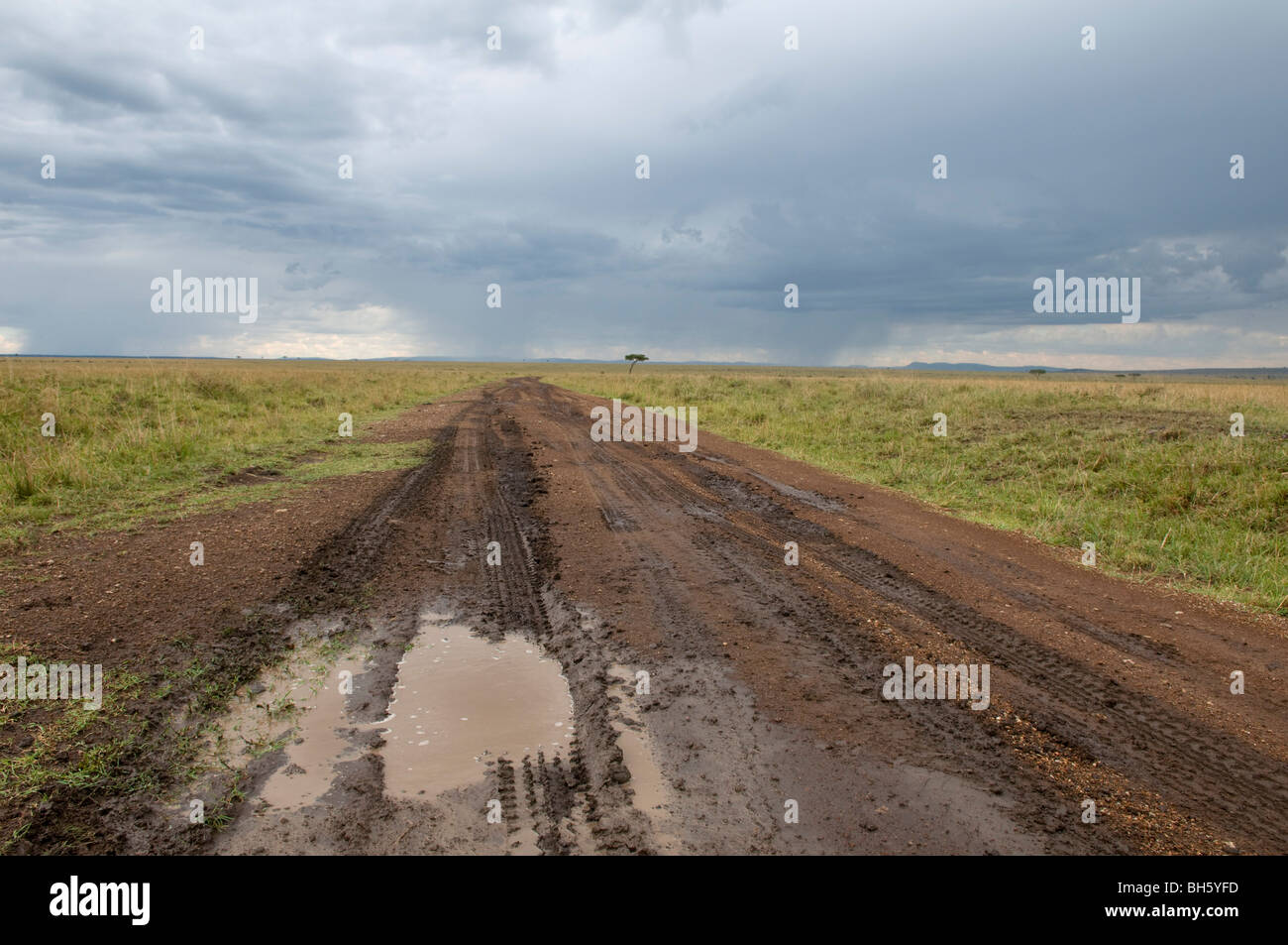 Masai Mara National Reserve, Kenya Stock Photo - Alamy