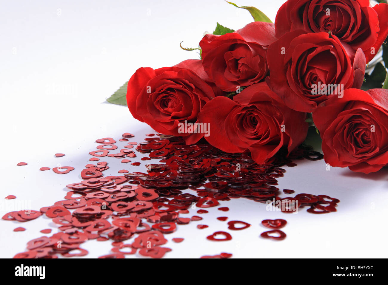 Red rose on a white background Stock Photo - Alamy
