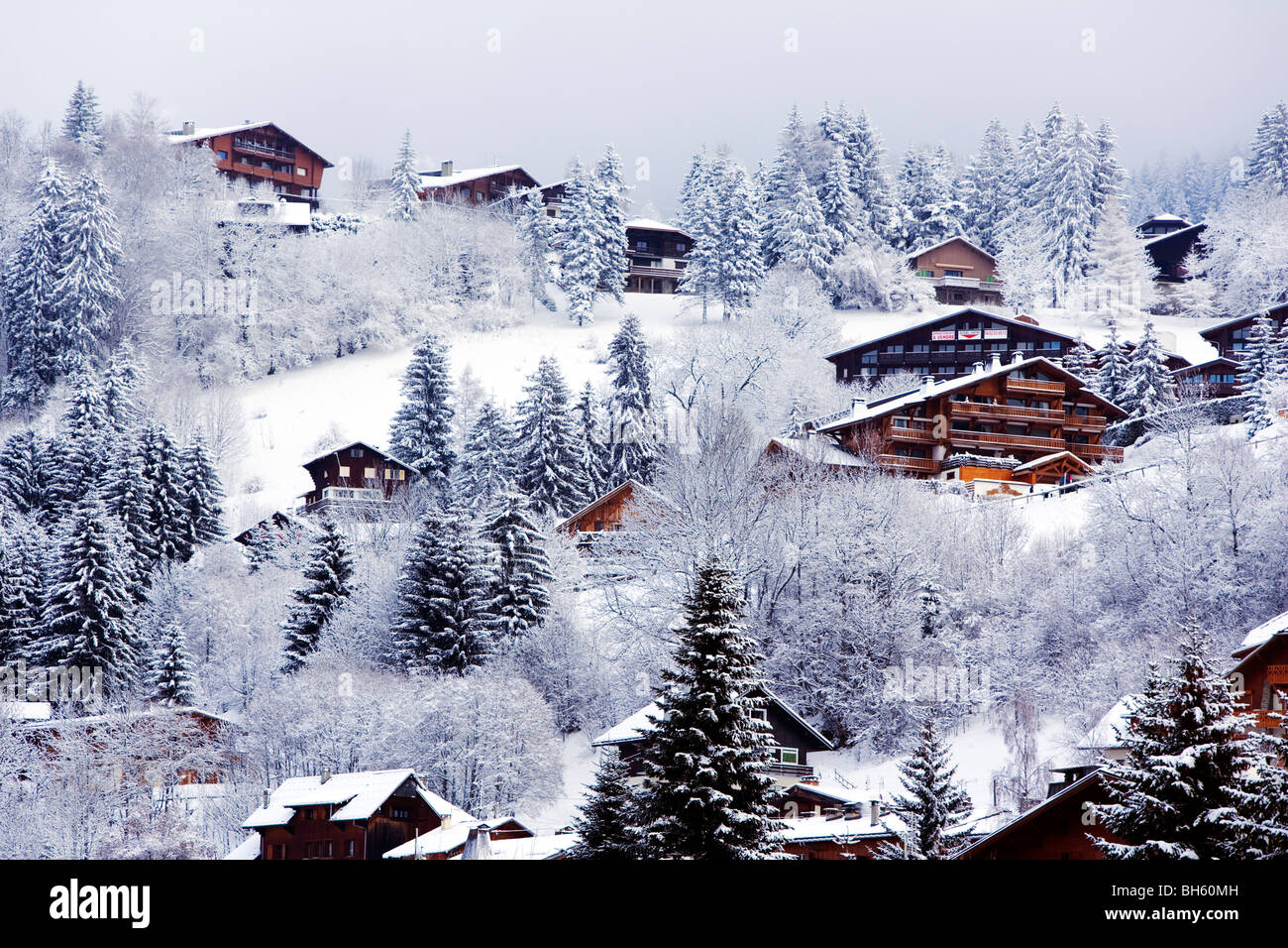Snow scene. Chalet fir trees. Megève, Haute Savoie, France, Europe ...