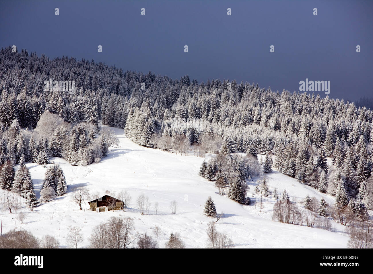 Snow scene. Chalet fir trees, dark sky.. Megève, Haute Savoie, France ...