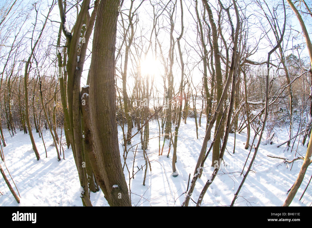 Whitlingham country park norwich hi-res stock photography and images ...