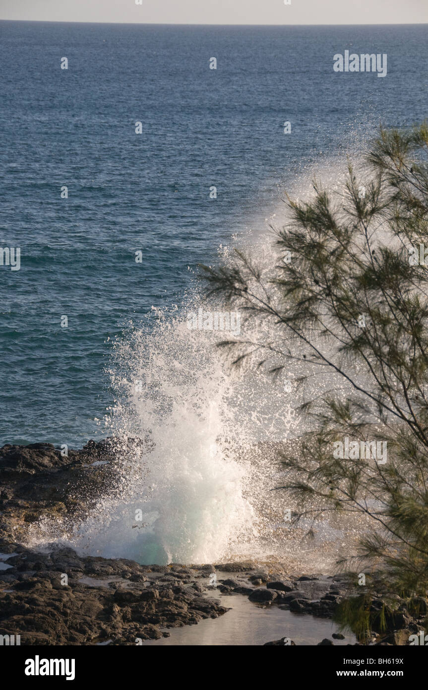 Spouting hi-res stock photography and images - Alamy