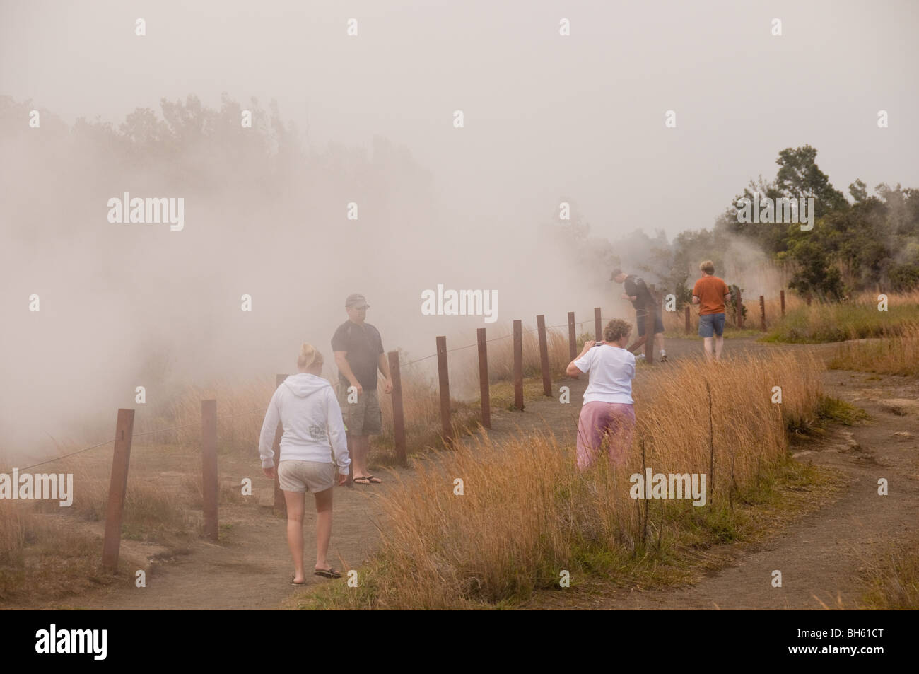 Steam venting from Volcano's .The Big Island, Hawaii Stock Photo - Alamy