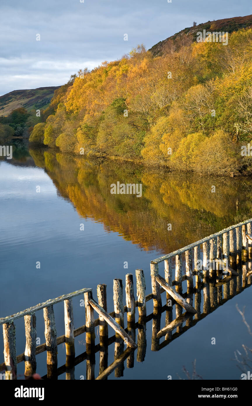dh LOCH FLEET SUTHERLAND Autumn tree colours and River Fleet scotland ...