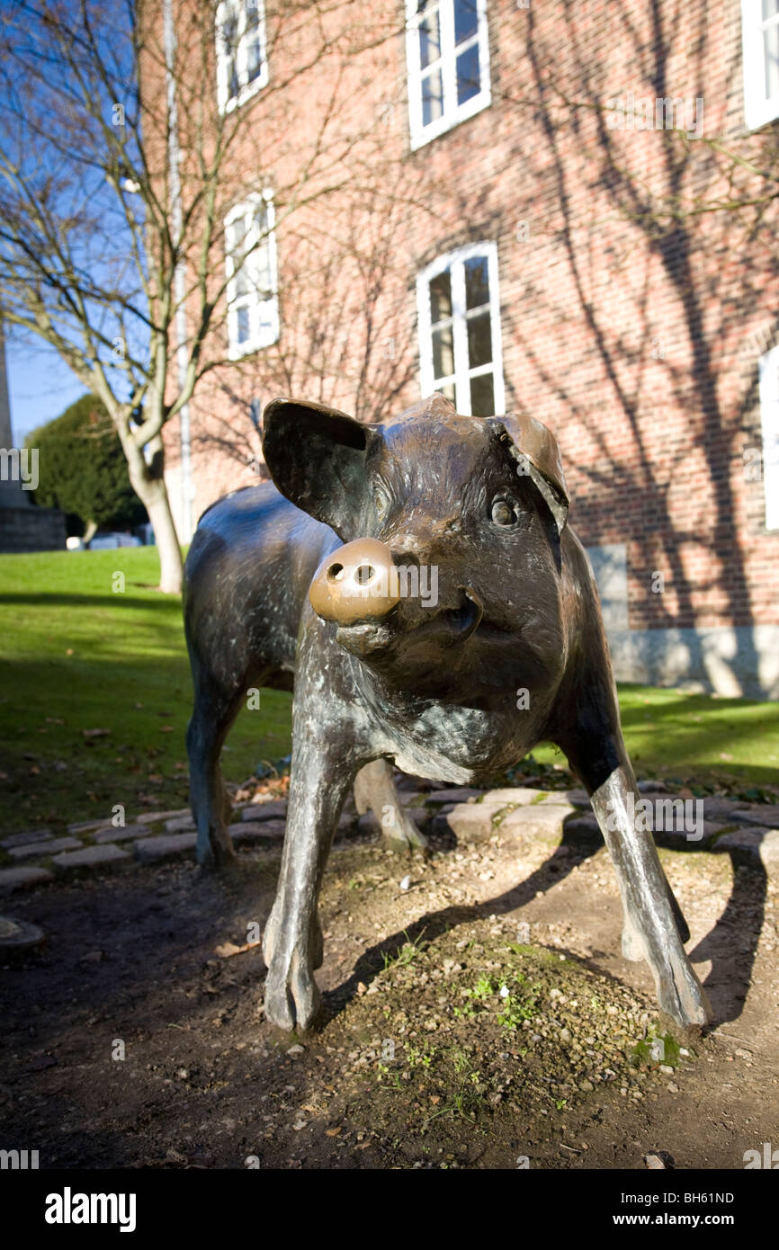 Hampshire hog hi-res stock photography and images - Alamy