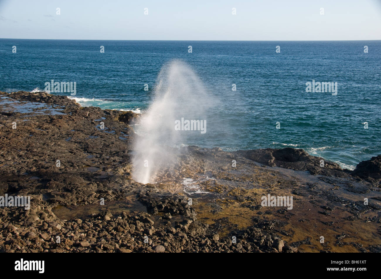 Spouting hi-res stock photography and images - Alamy