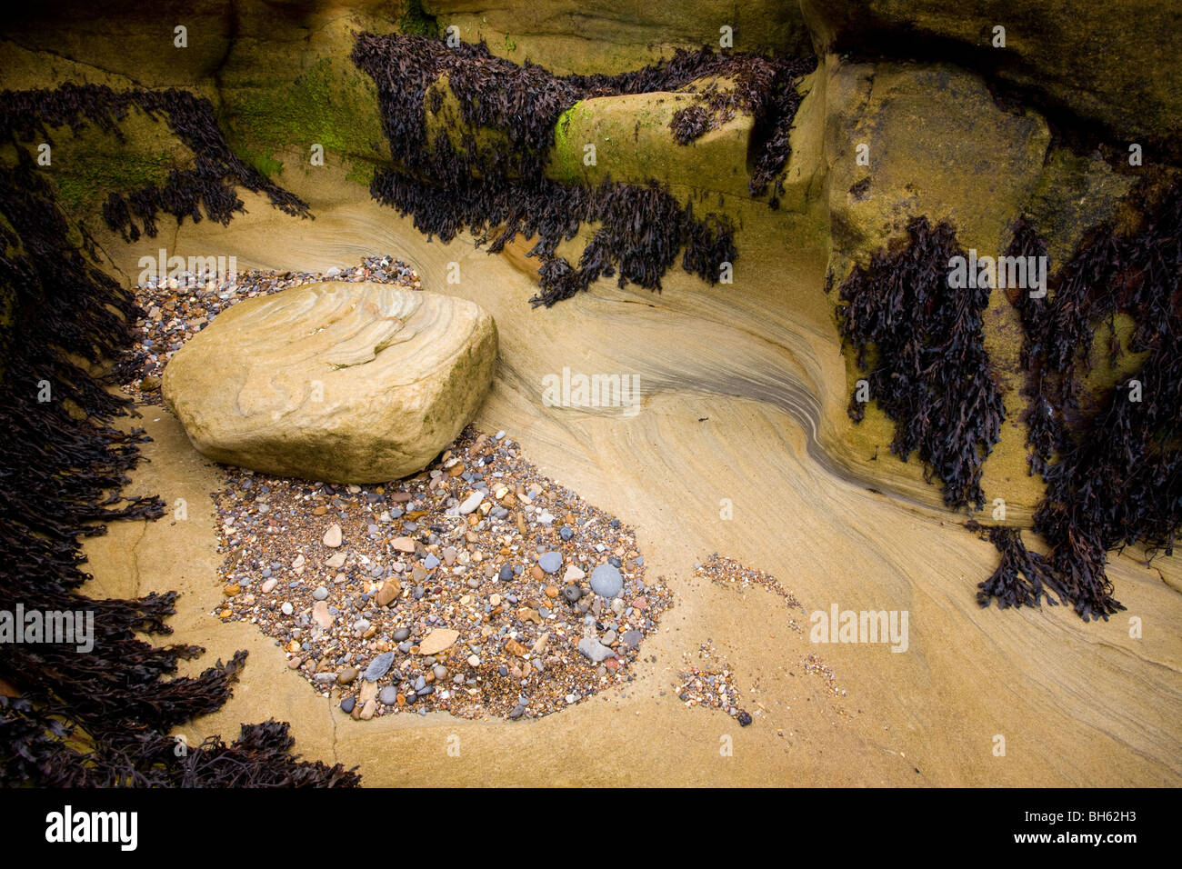 Rock Formations,Seaweed and Pebbles, Seaton Sluice, Northumberland ...