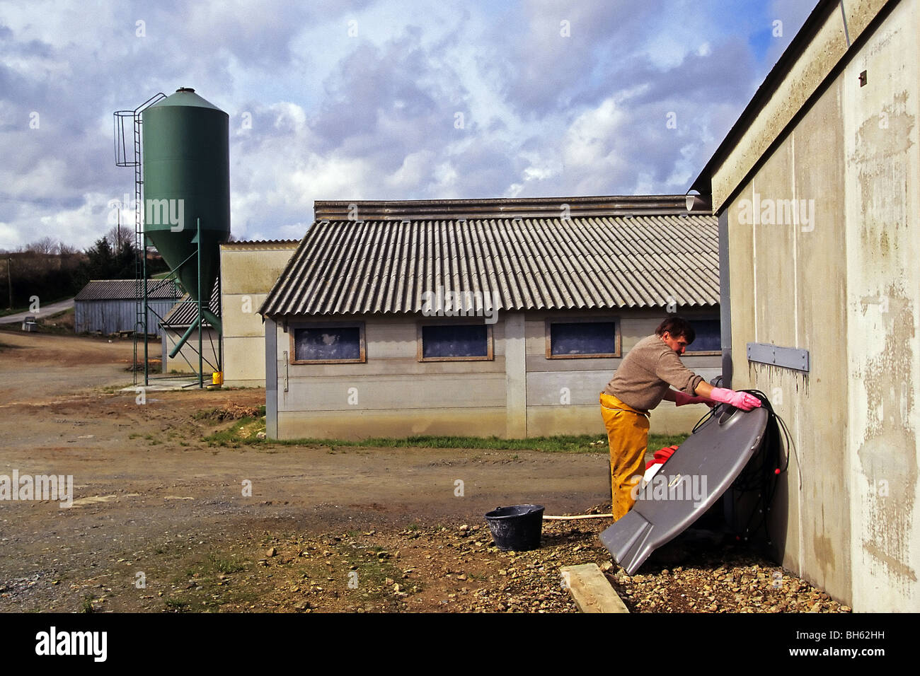 FARM WORKER, MAINTENANCE AND CLEANING OF THE FACILITIES AT A POULTRY ...