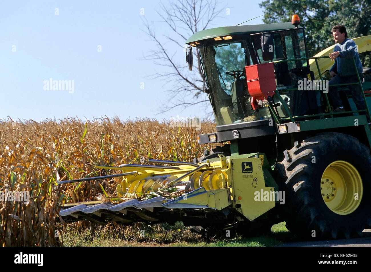 Cereal ensilage of corn by an ensiling machine hi-res stock photography ...