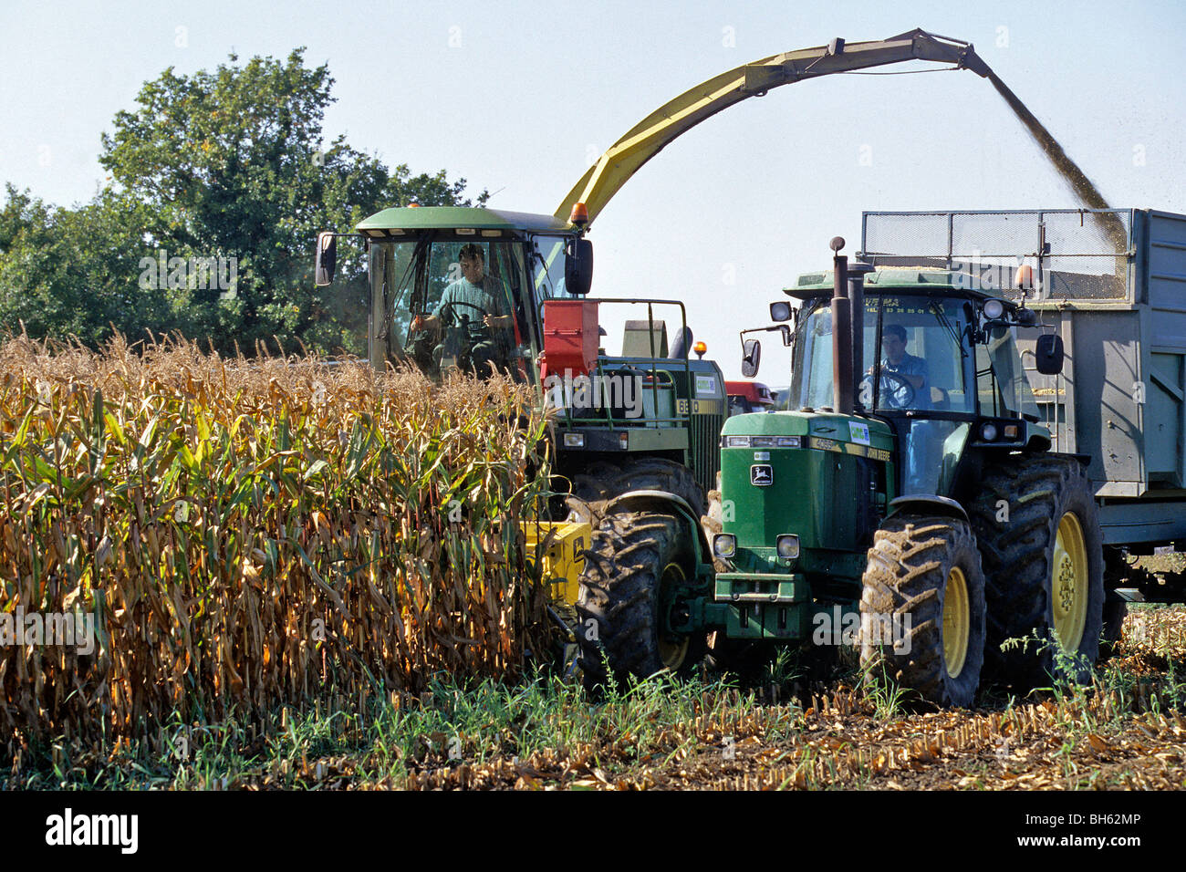 Cereal ensilage of corn by an ensiling machine hi-res stock photography ...
