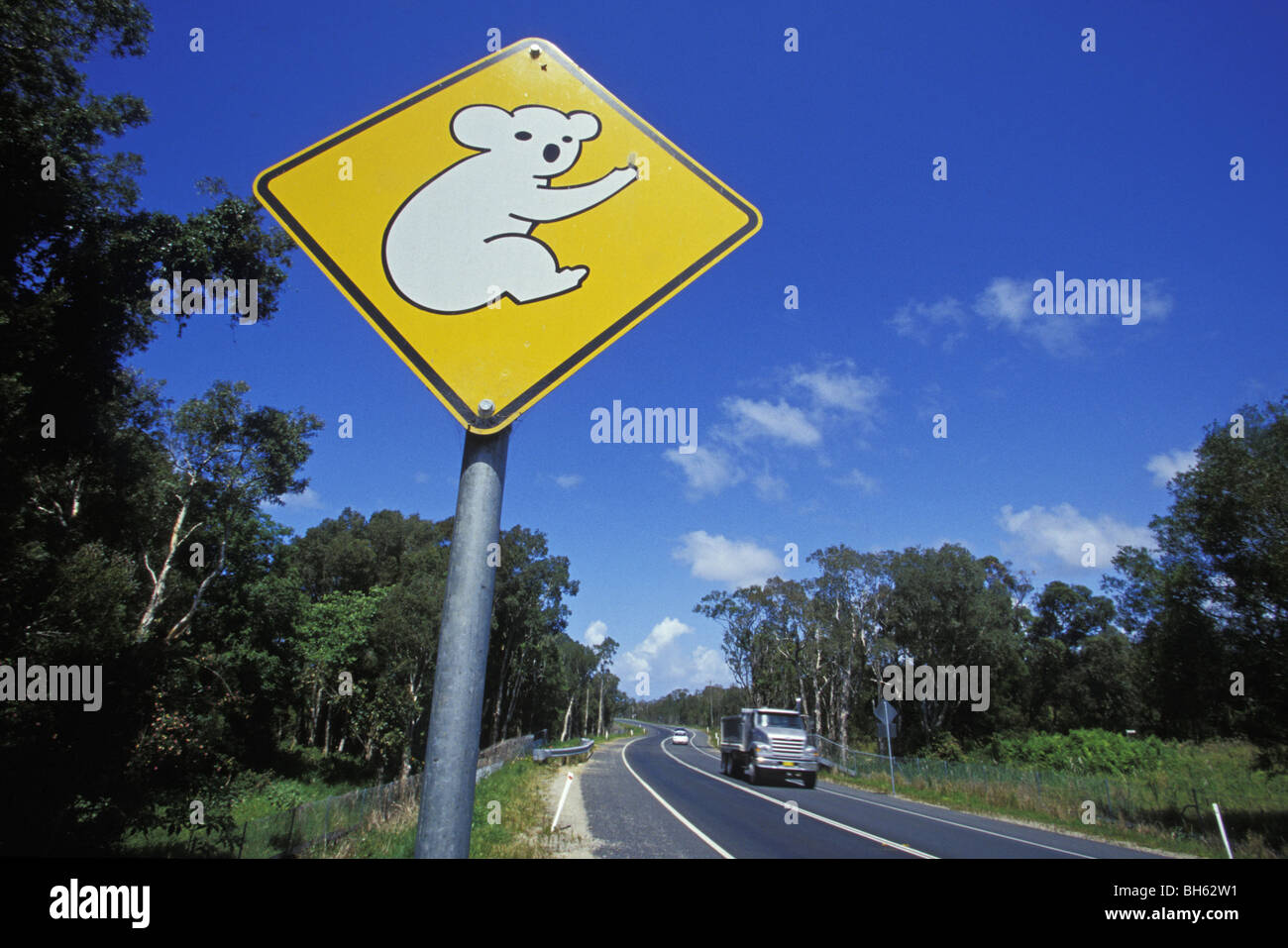 ROAD SIGN, KOALA, AUSTRALIA, OCEANIA Stock Photo - Alamy