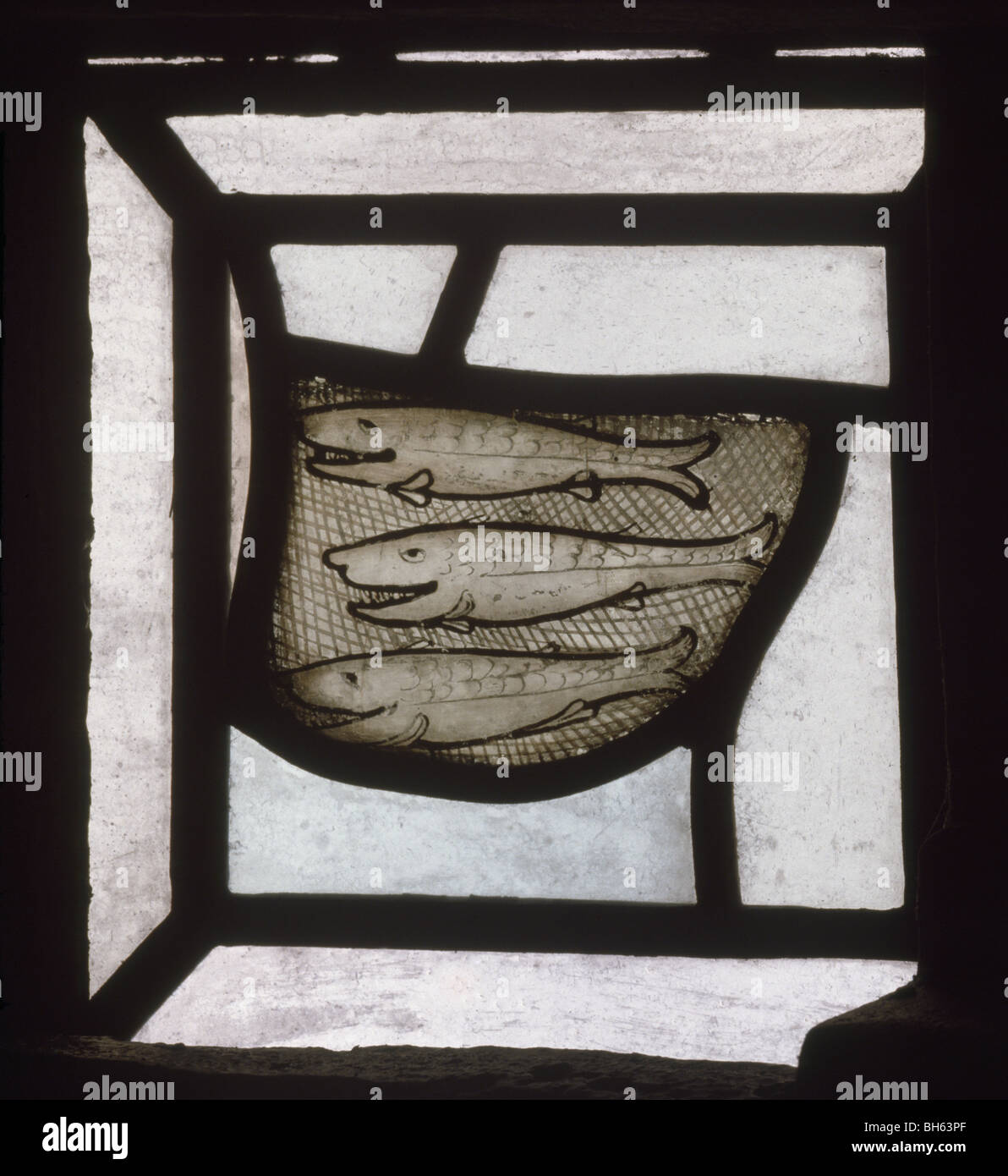 York Minster stained glass panel in the Zouche chapel, medieval. Fish ...