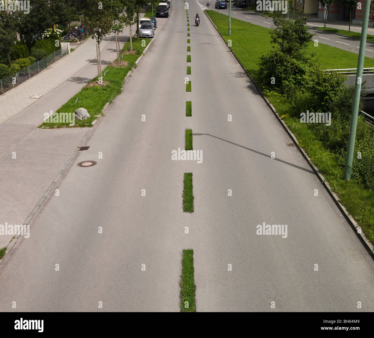 Car automobile grass nature plant hi-res stock photography and images ...