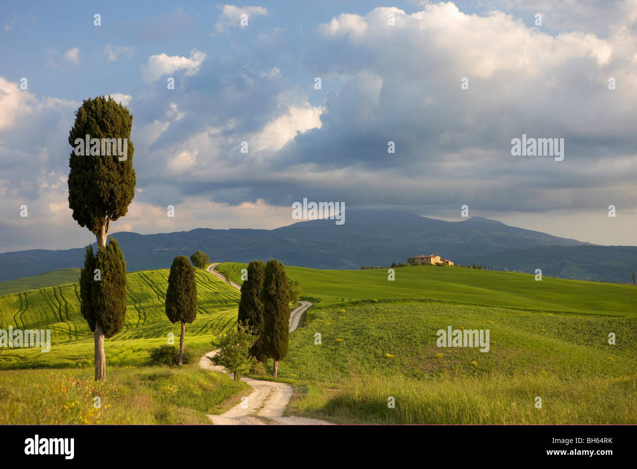 Orcia valley in spring Stock Photo - Alamy
