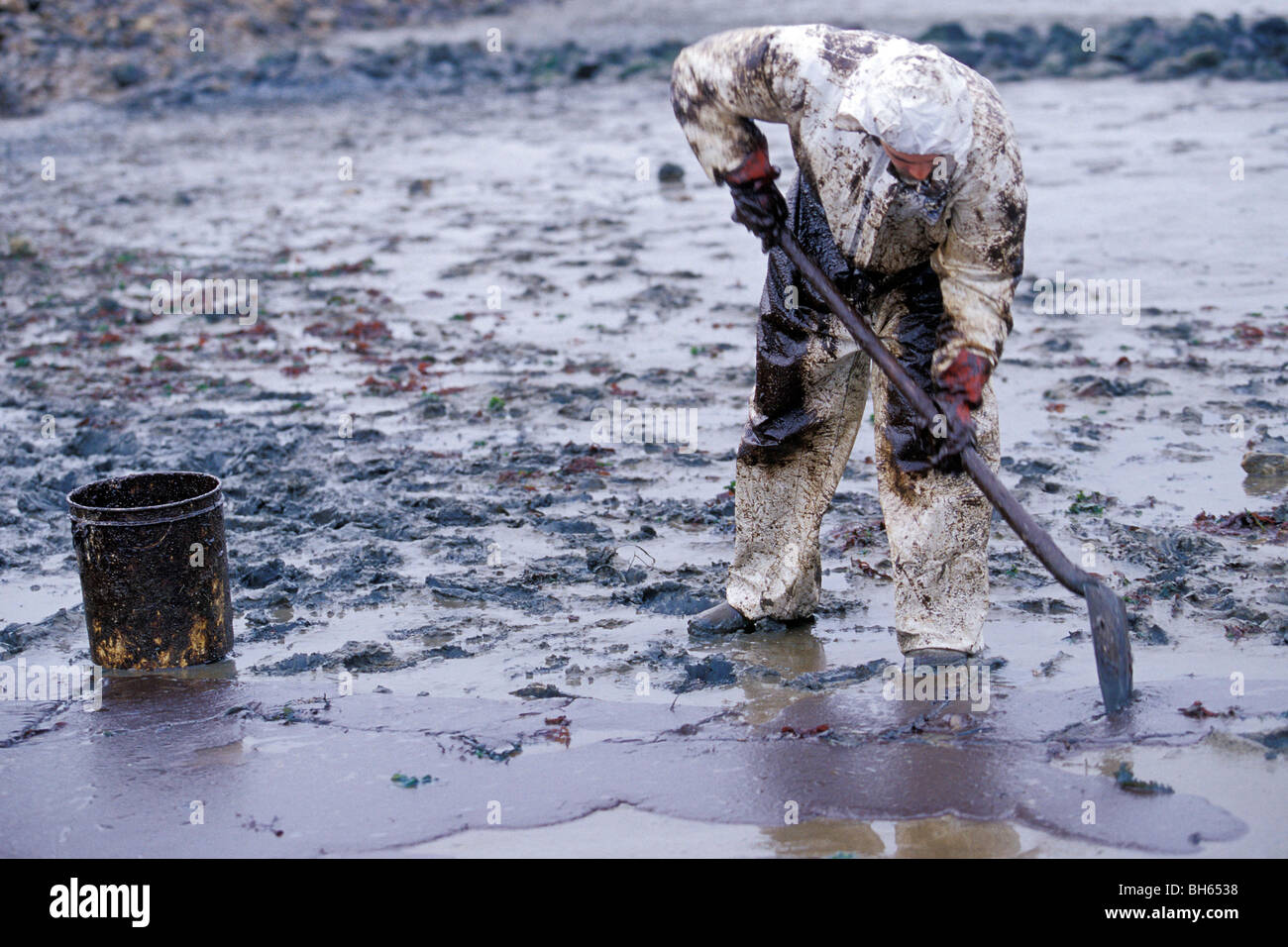 CLEANING OF THE VENDEE COASTS AFTER THE ERIKA OIL SPILL (TOTAL OIL ...