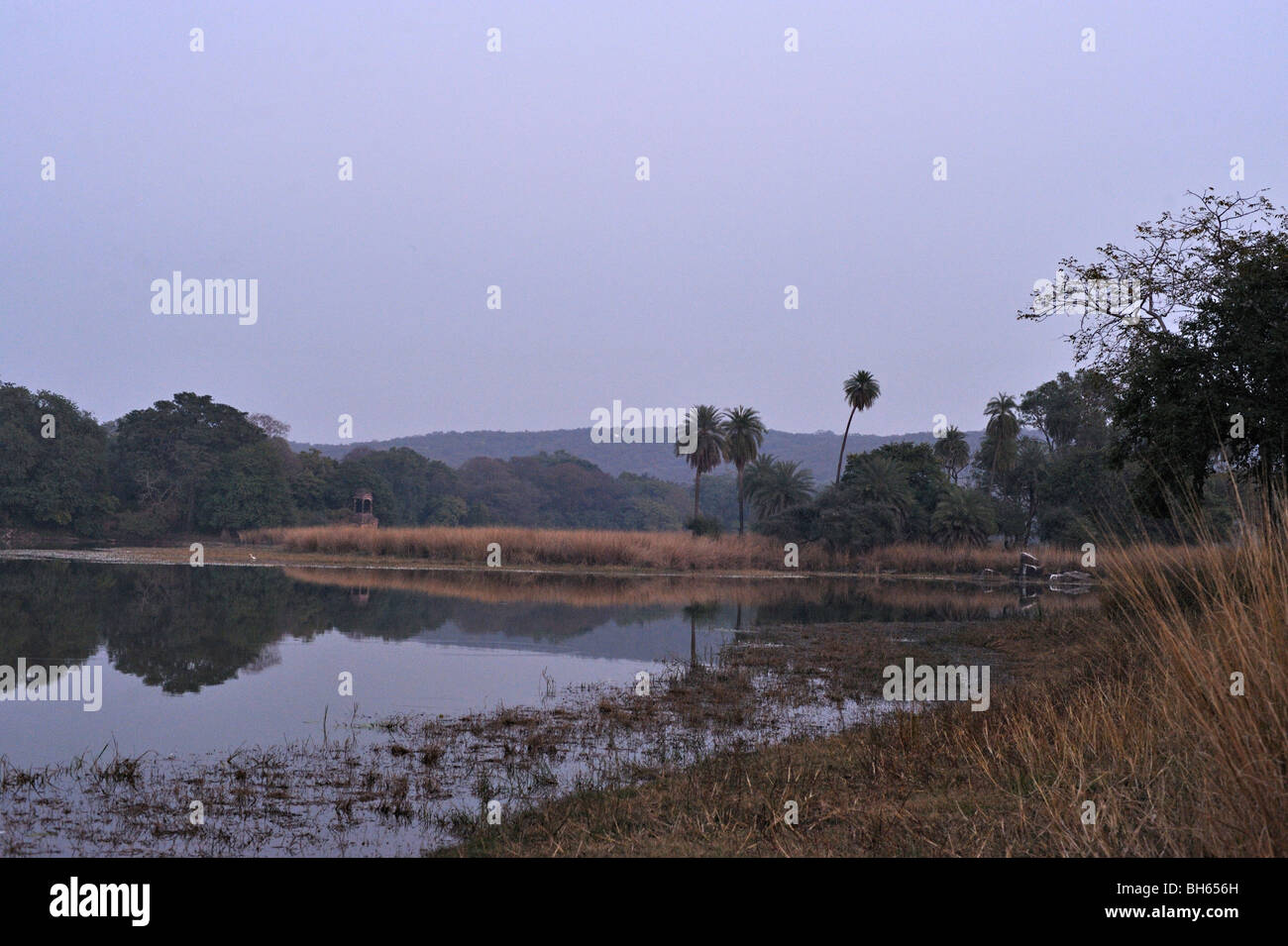 Rajbagh lake ranthambore hi-res stock photography and images - Alamy