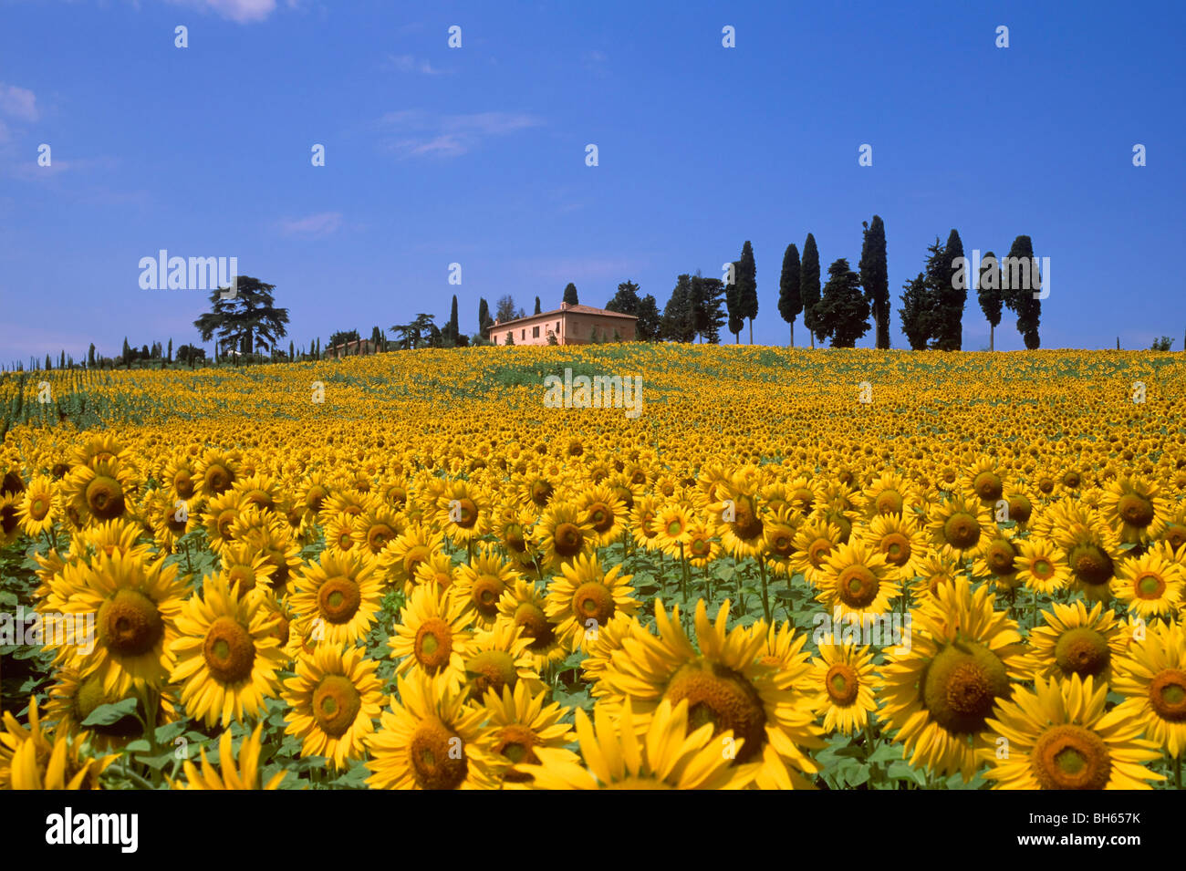 Era valley in spring Stock Photo - Alamy
