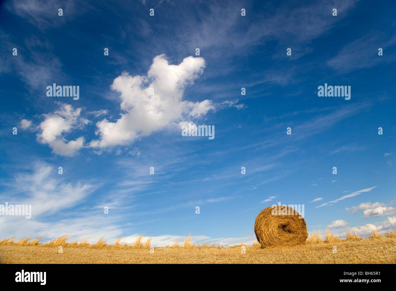 Hay bale hay hi-res stock photography and images - Alamy