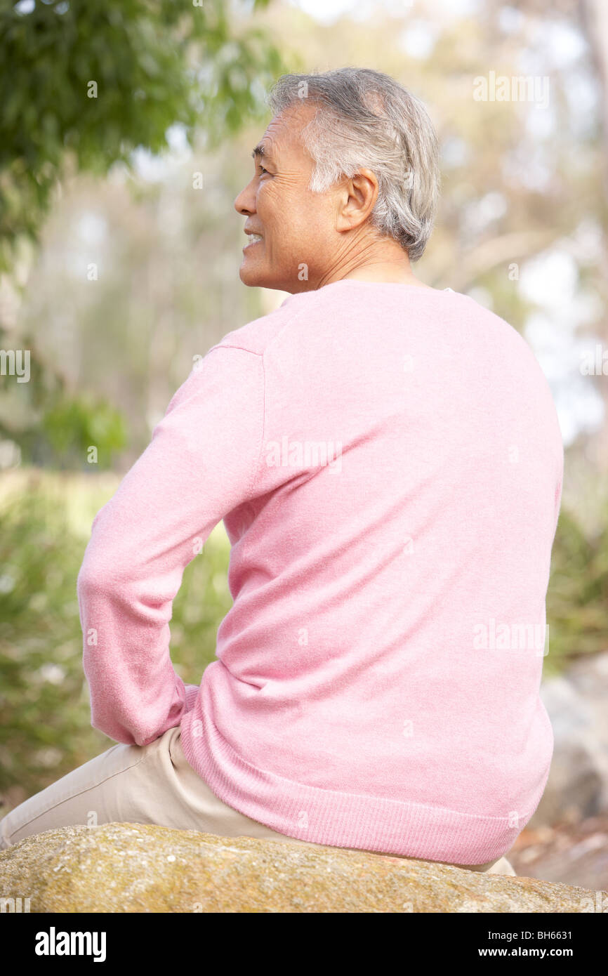 Back View Of Senior Man In Park Stock Photo - Alamy