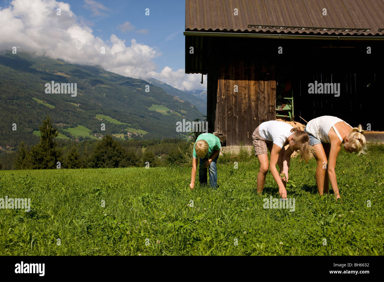 boy and girls weeding pasture Stock Photo - Alamy