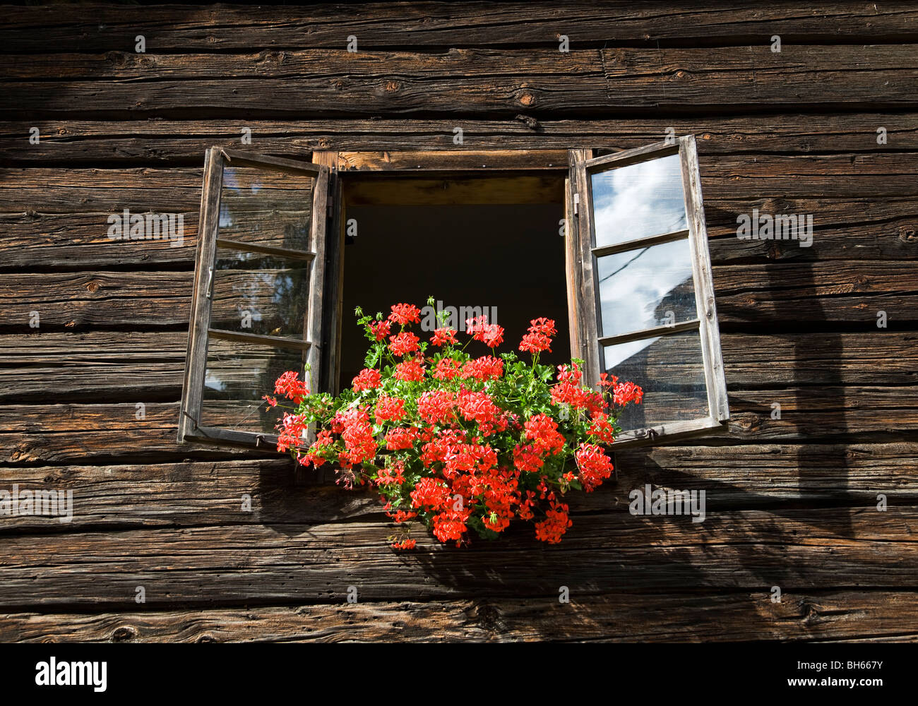 flowers decorating farm window Stock Photo - Alamy