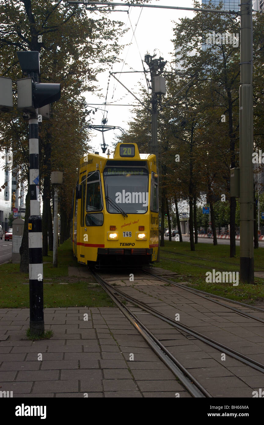 Yellow tram in the street, Rotterdam, Holland Stock Photo - Alamy