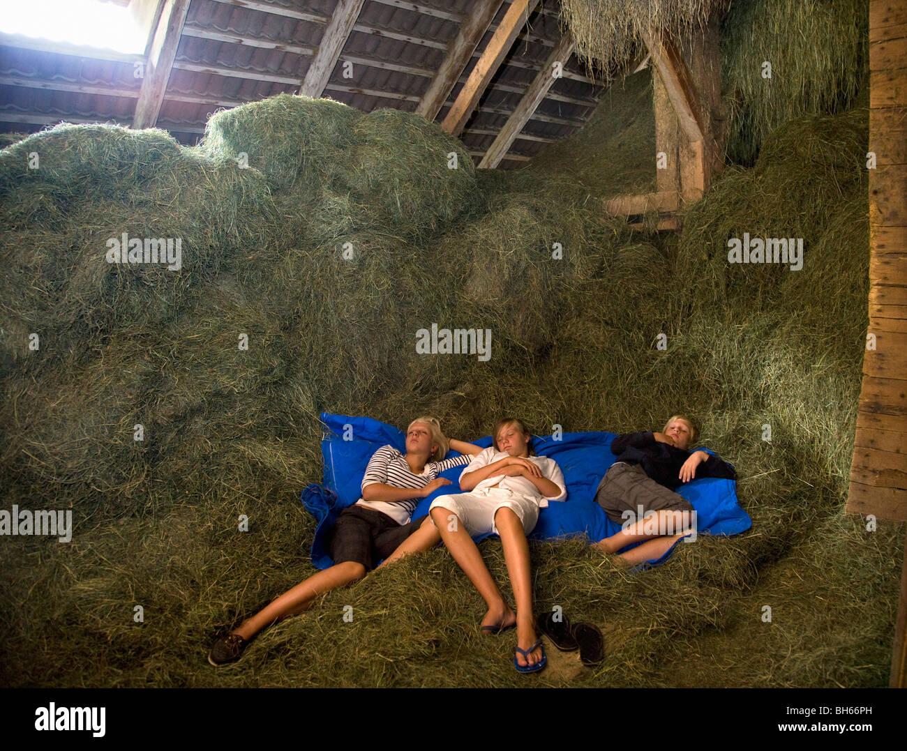 girls and boy sleeping in hay barn Stock Photo - Alamy