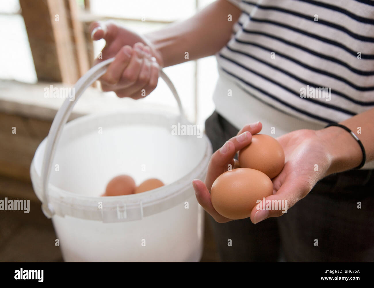 girl collecting eggs Stock Photo - Alamy