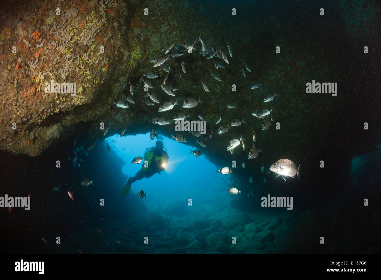 Cave shoal hi-res stock photography and images - Alamy