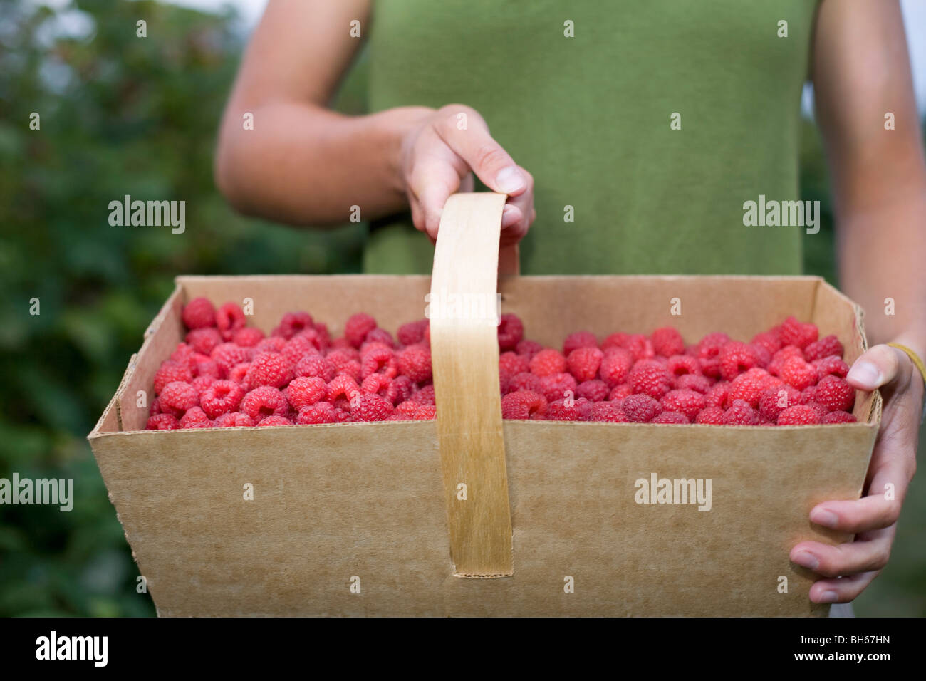 Basket of raspberries hi-res stock photography and images - Alamy