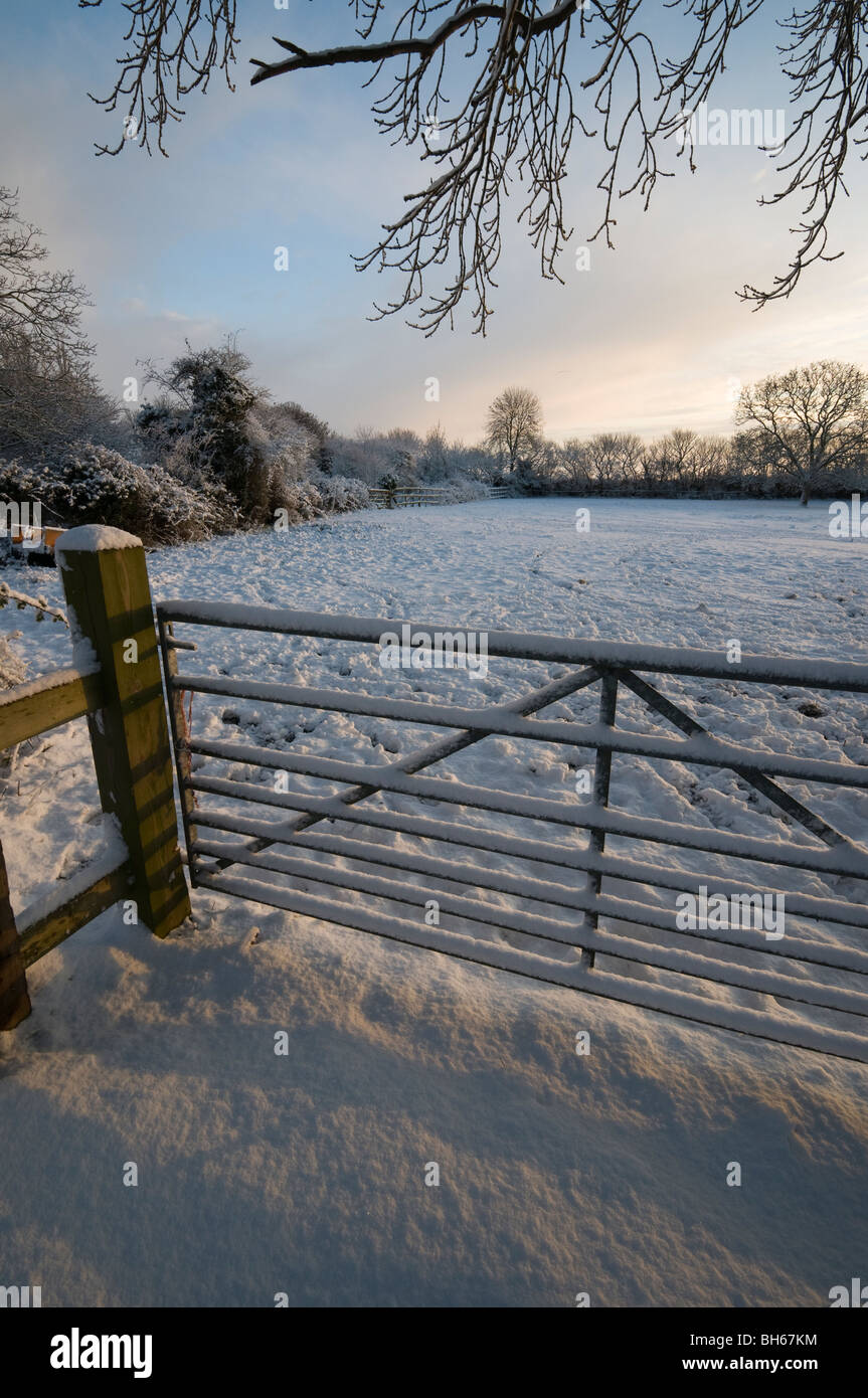 Early morning on a snowy day, snow covered paddock, trees and farmers ...
