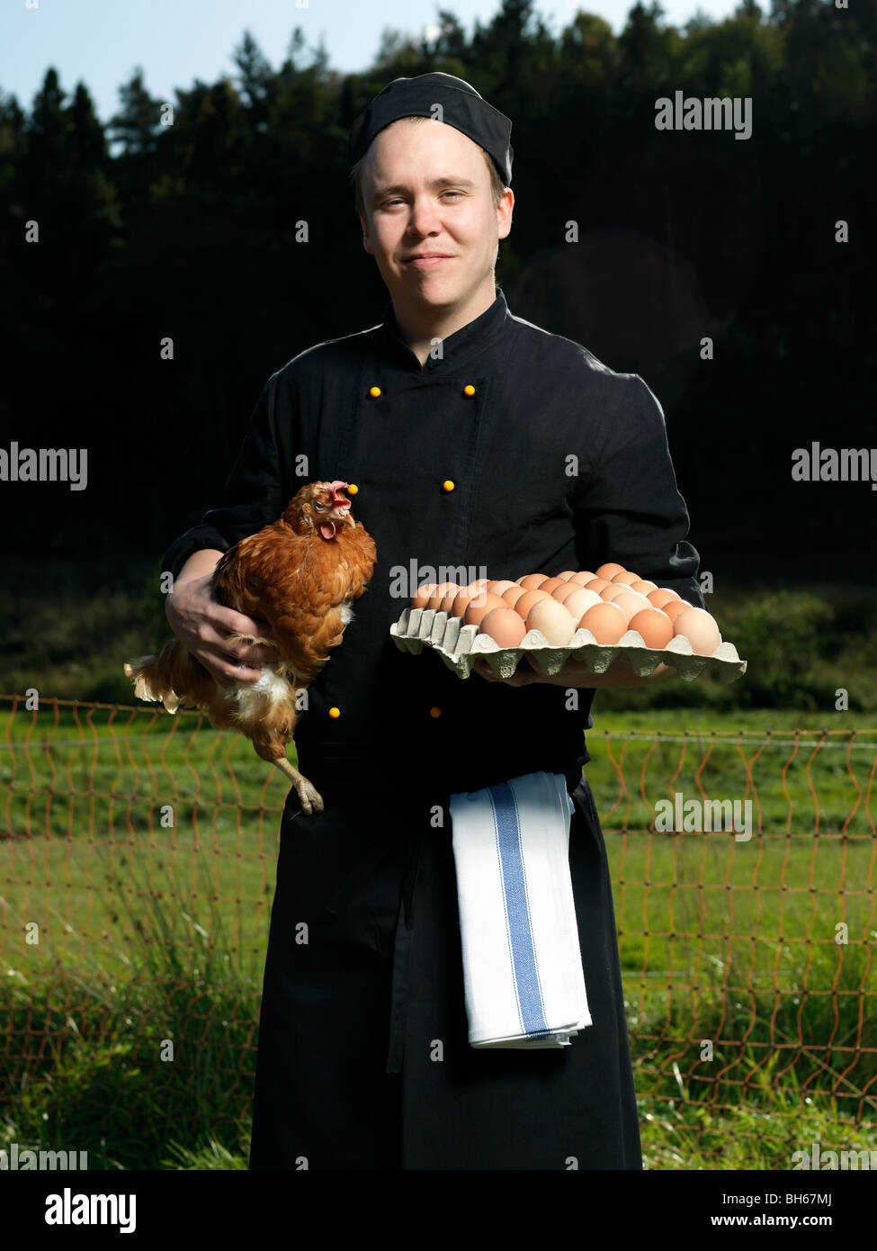 Chef with hen and eggs Stock Photo - Alamy