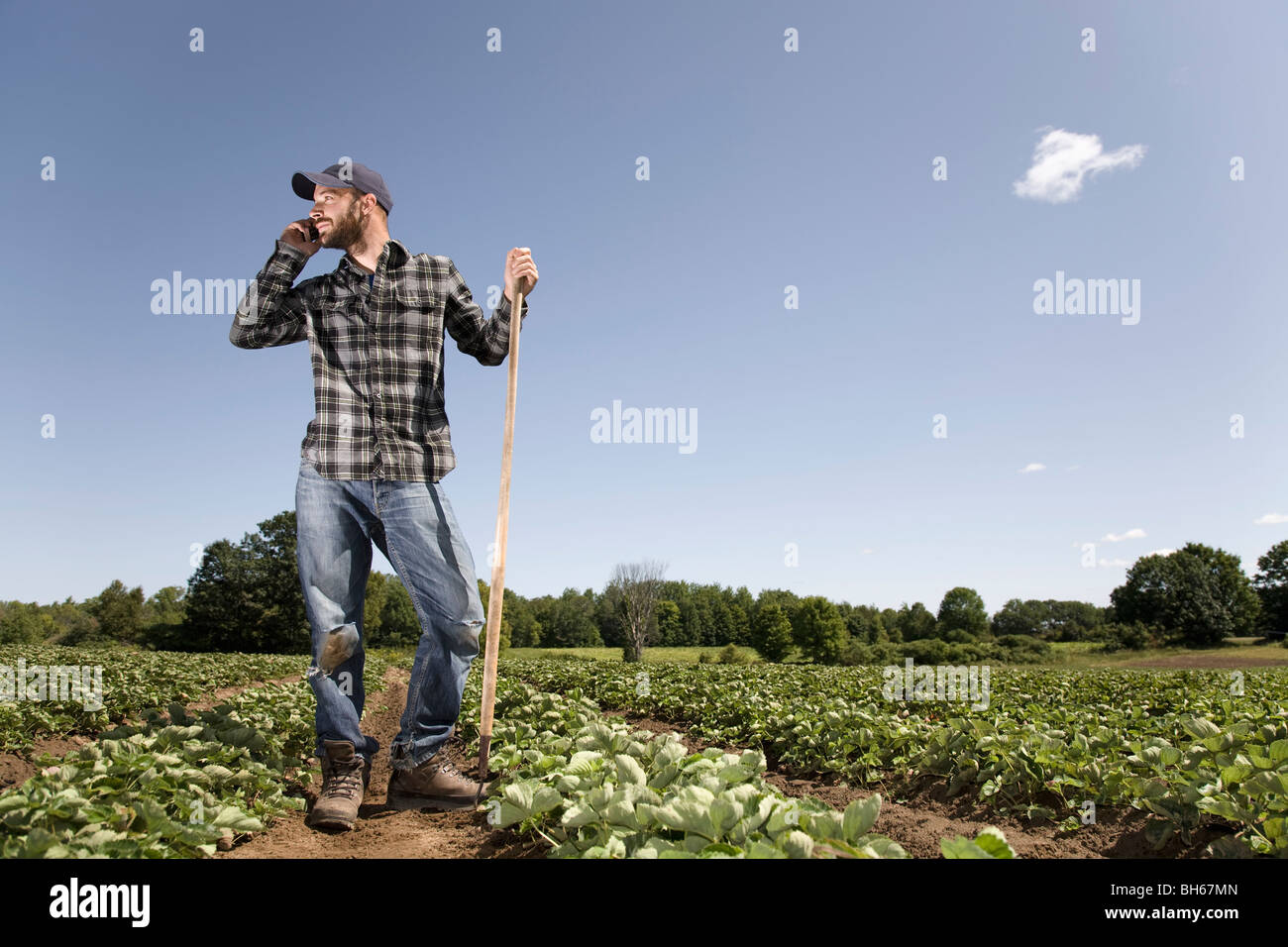 Farmer holding cell phone in hi-res stock photography and images - Alamy