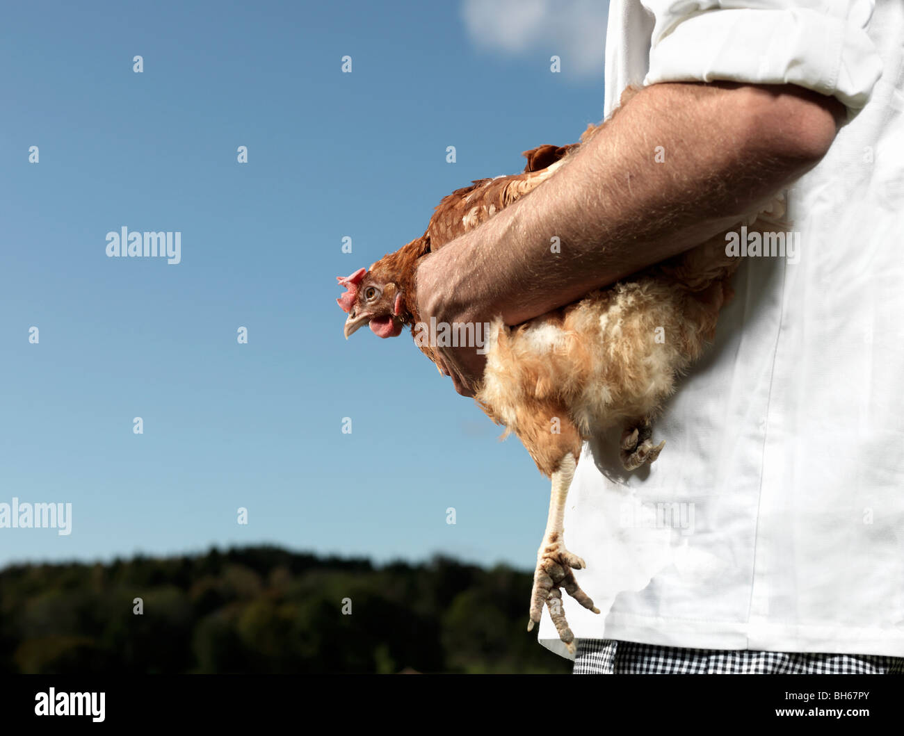 Mid section chef holding hi-res stock photography and images - Alamy