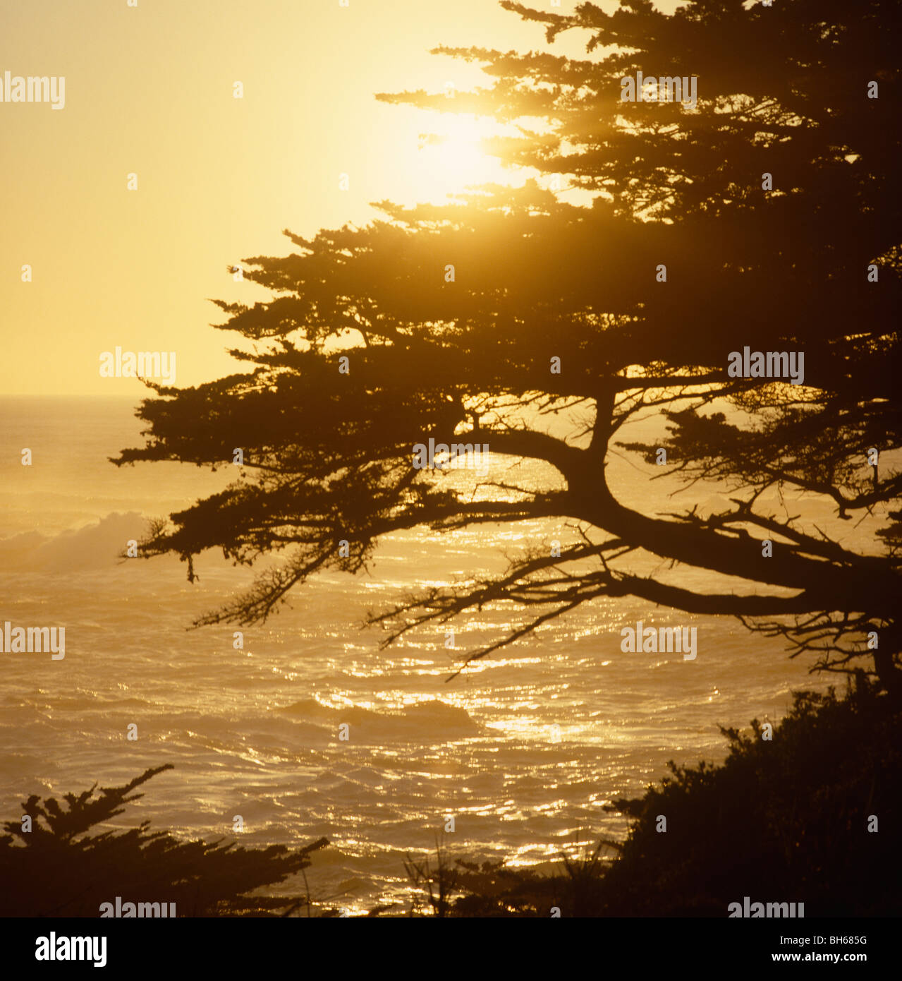 Point lobos at sunset hi-res stock photography and images - Alamy