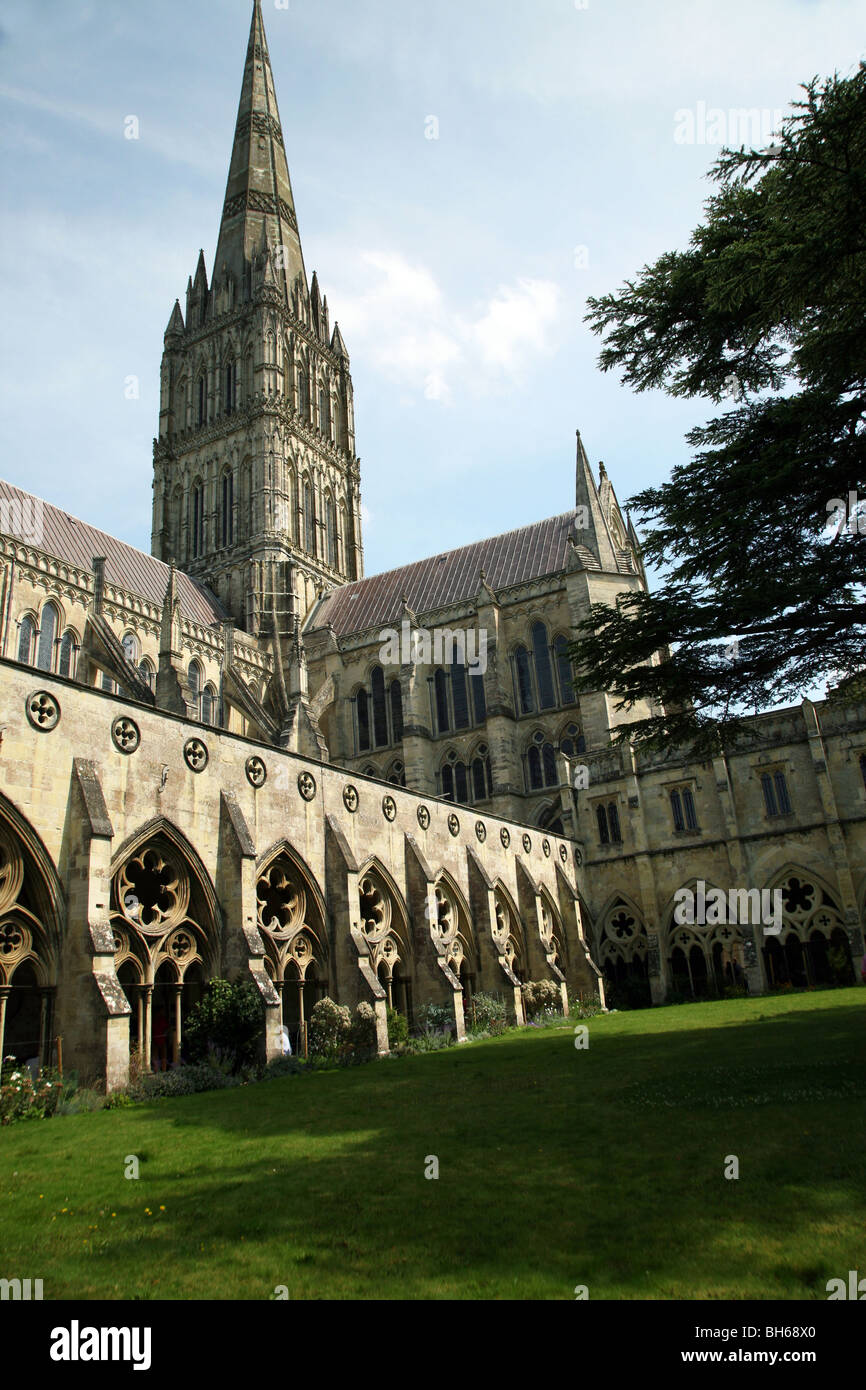 Salisbury - Cathedral Spire from The Cloisters Stock Photo - Alamy