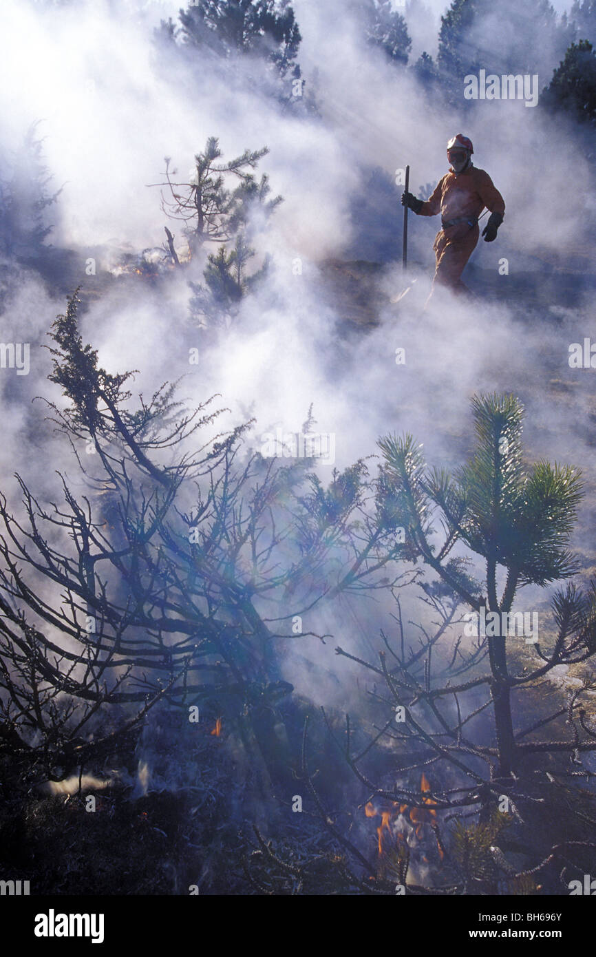 Disaster burning environment beating hi-res stock photography and ...
