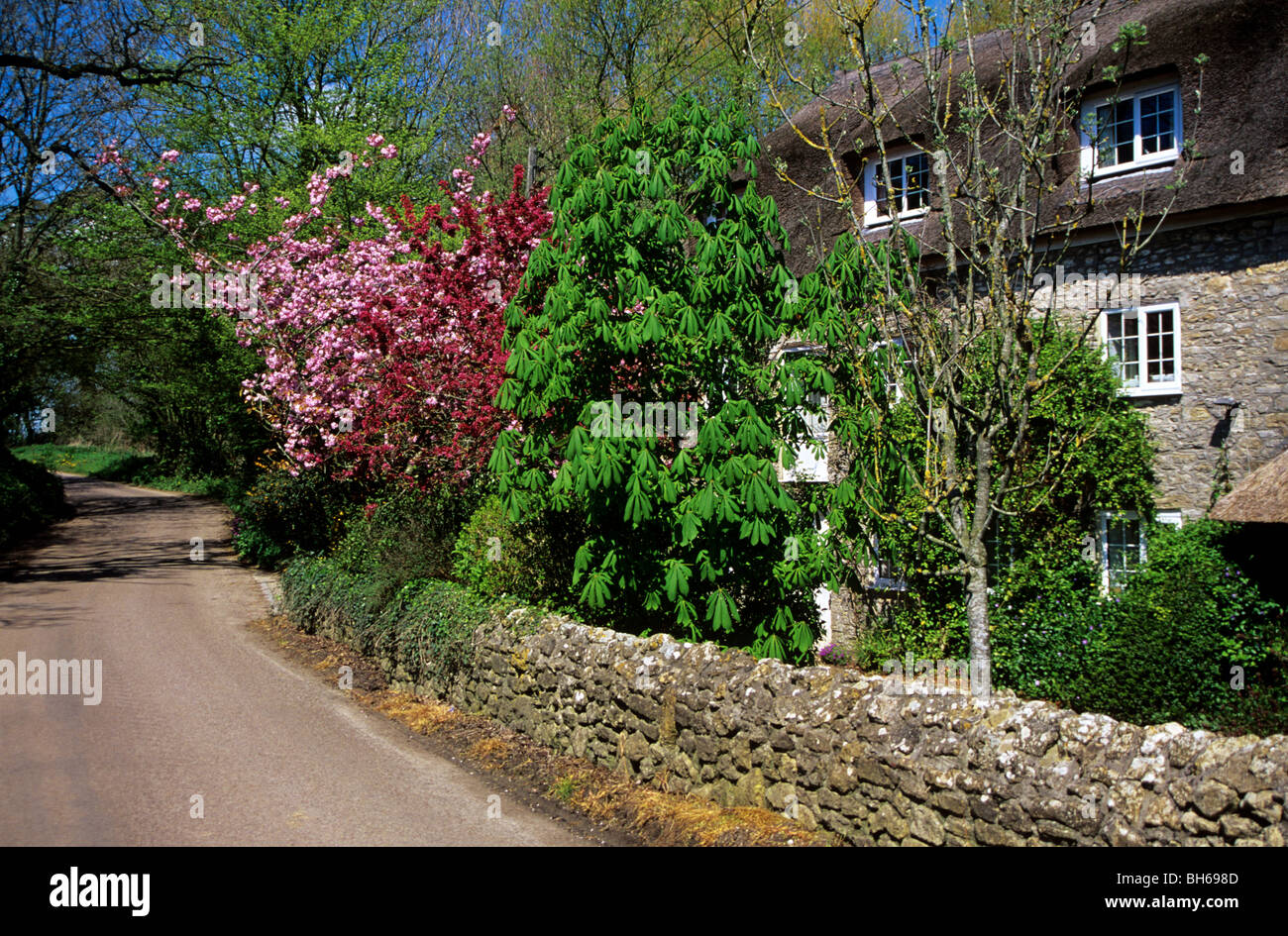 Thatched cottage near the West Dorset village of Litton Cheney in ...