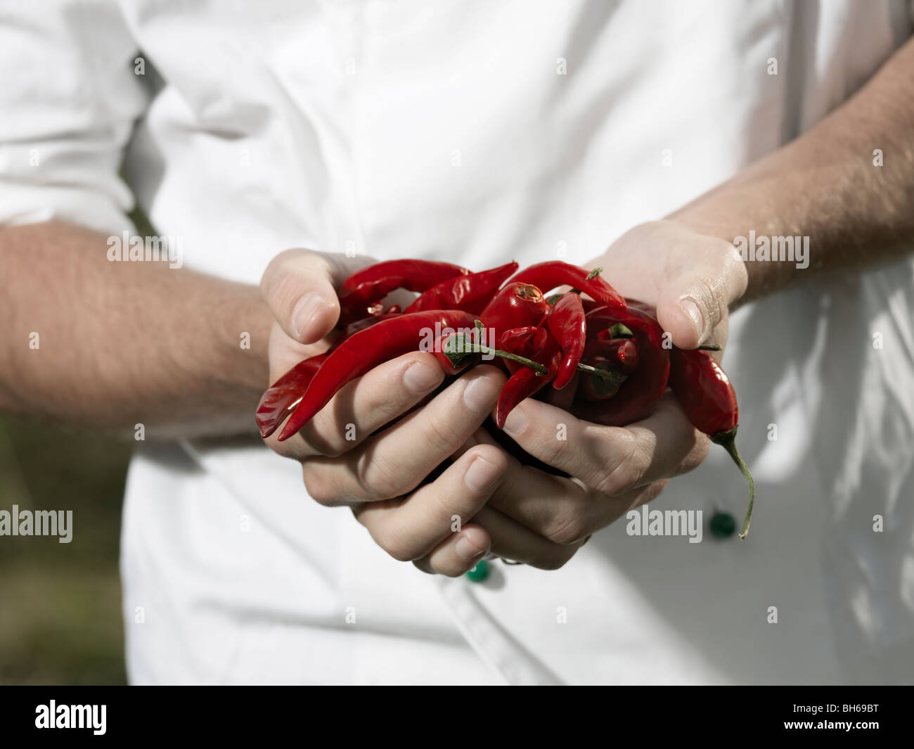 Red hot chili peppers front man hi-res stock photography and images - Alamy