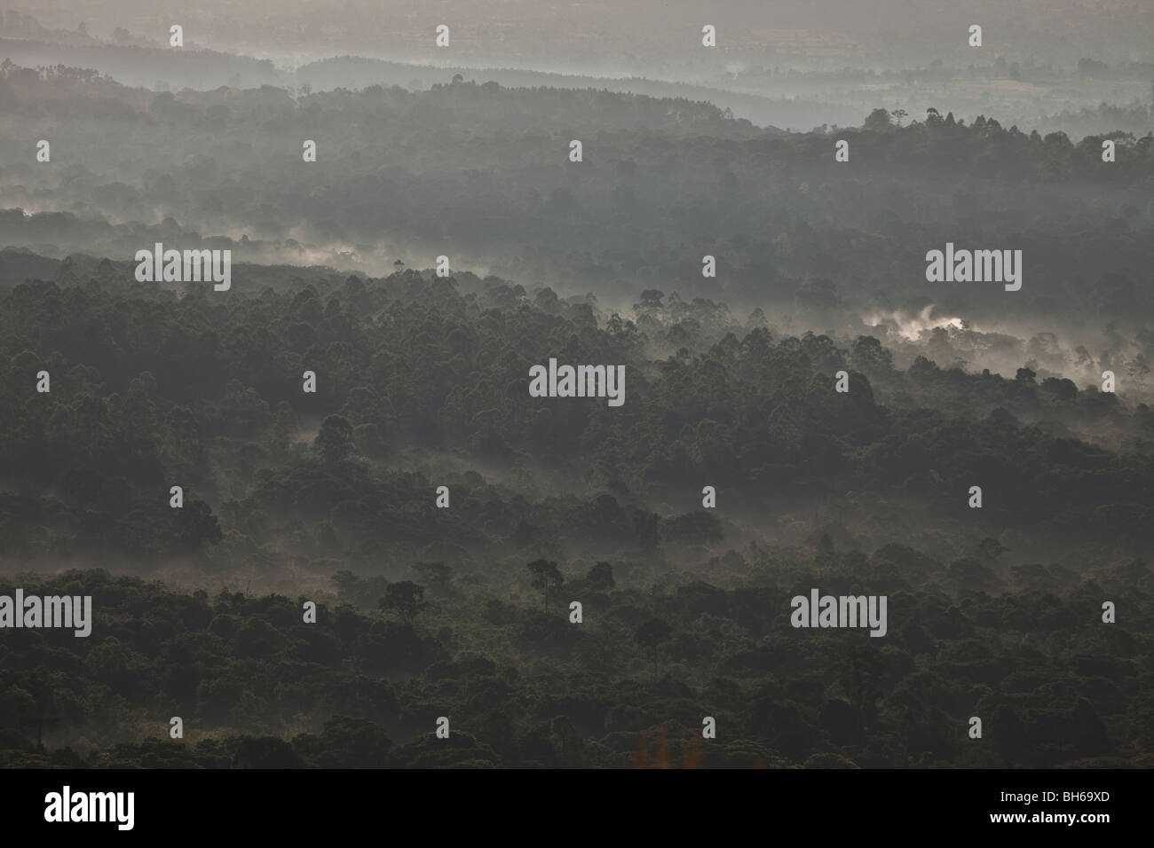 Deforestation rainforest erosion hi-res stock photography and images ...