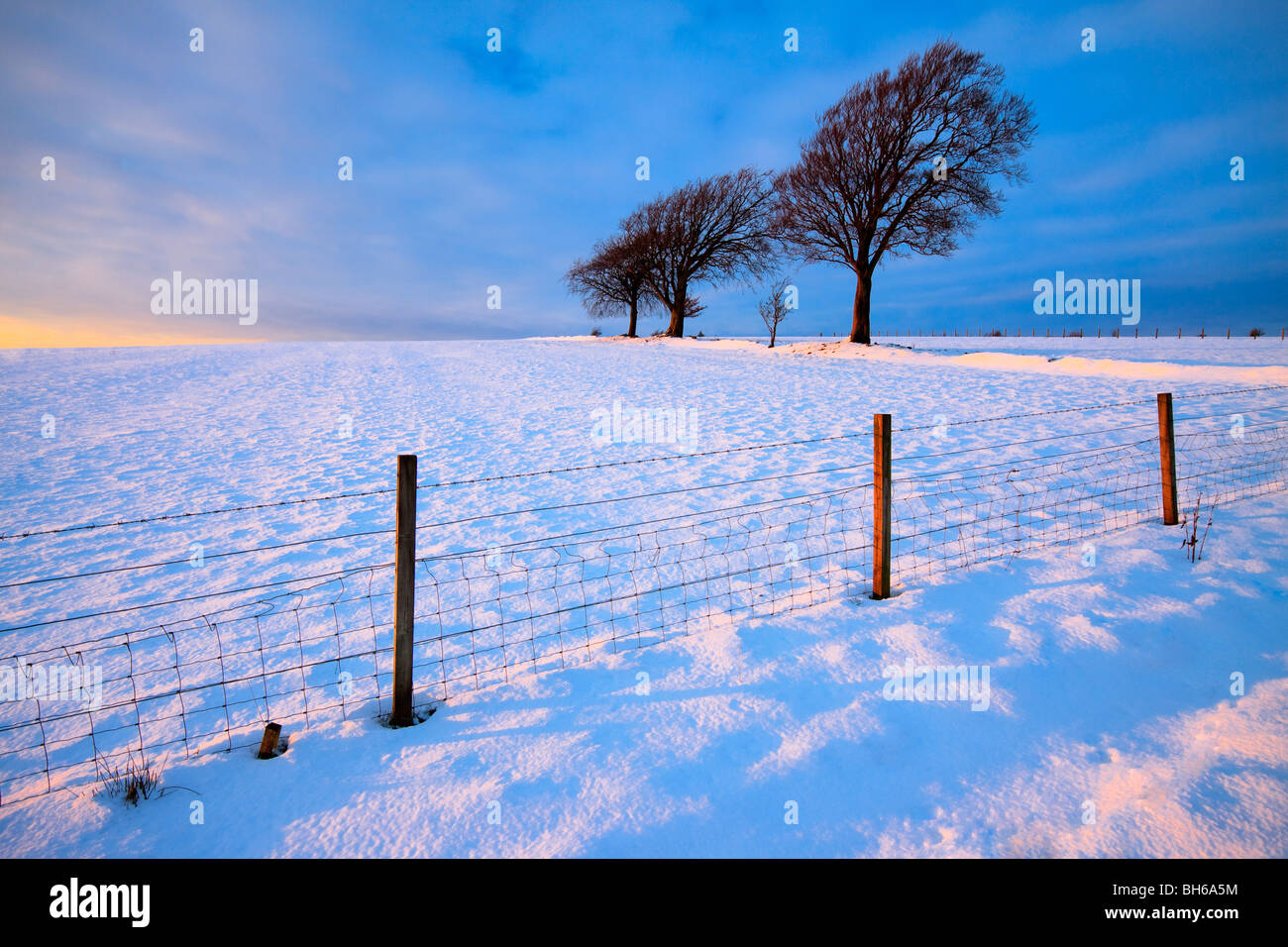 Ayrshire snow hi-res stock photography and images - Alamy