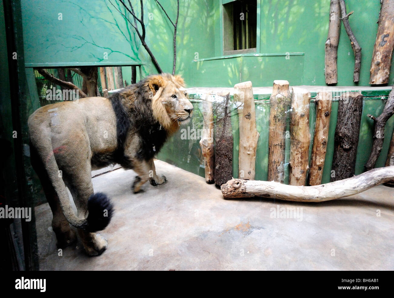Zoo Prague Czech Republic Stock Photo - Alamy